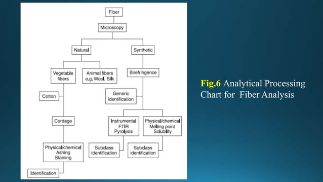 Forensic Fiber Analysis | PPTX