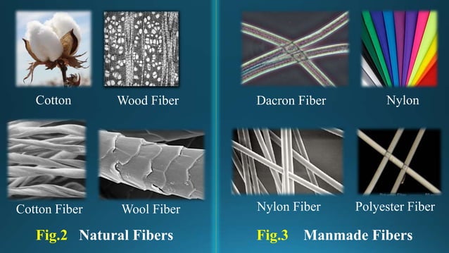 Forensic Fiber Analysis | PPTX