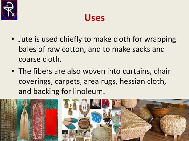 Fibers PLANT FIBERS Jute | PPTX | Needlework | Arts and Crafts
