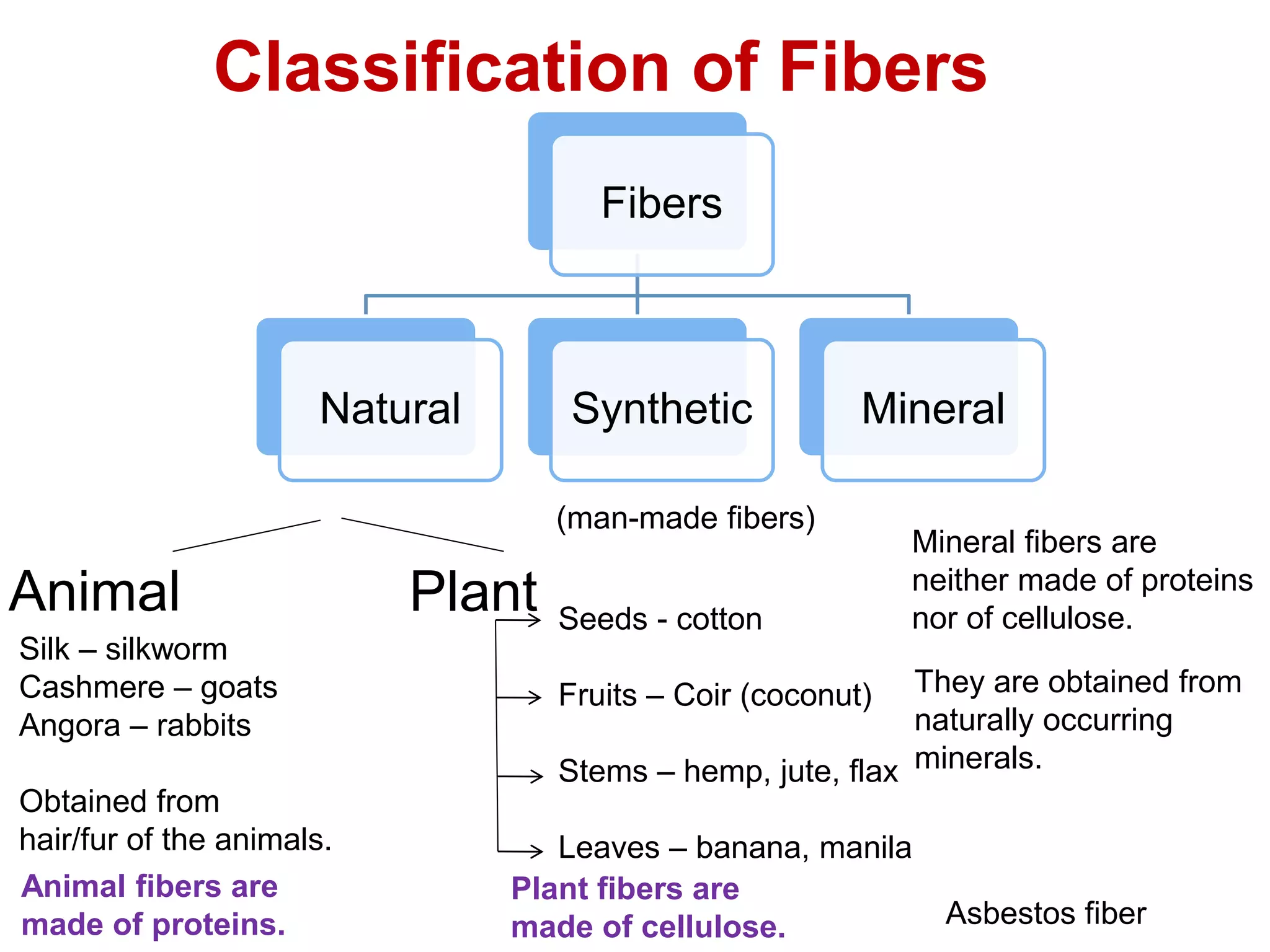 Fibers and hairs | PPTX