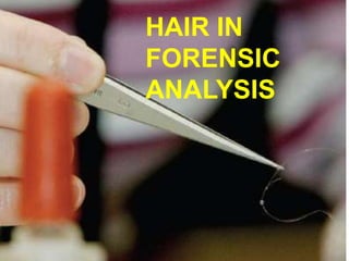 Fibers and hairs | PPTX