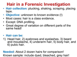Fibers and hairs | PPTX