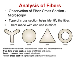 Fibers and hairs | PPTX