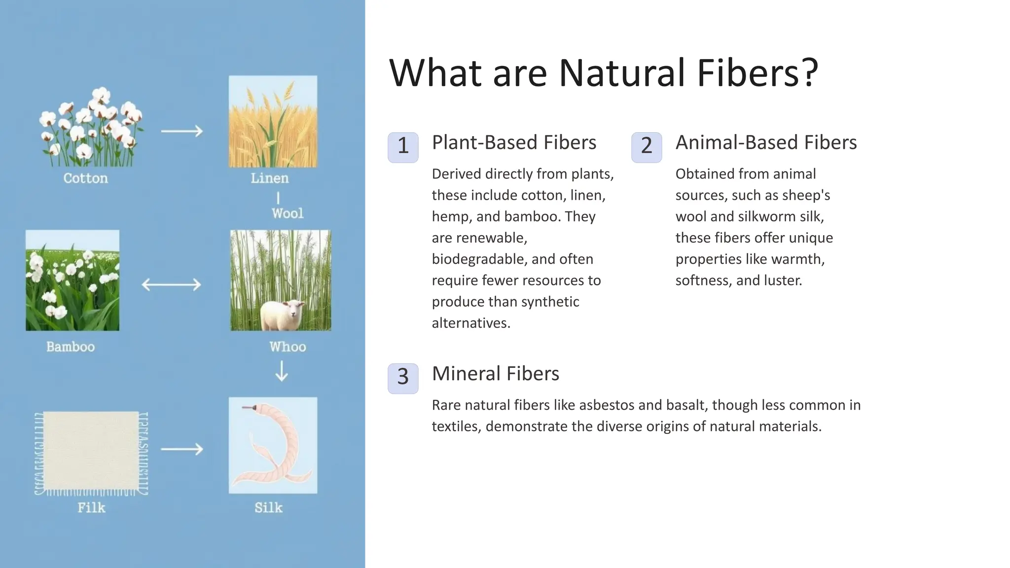 Fiber Science updated notes with full explanation .pdf