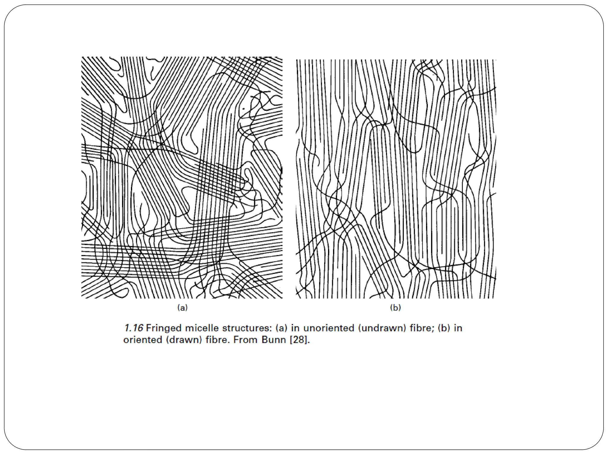 Fiber structure theories | PPTX