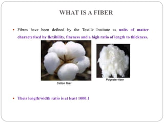 Fiber structure theories | PPTX