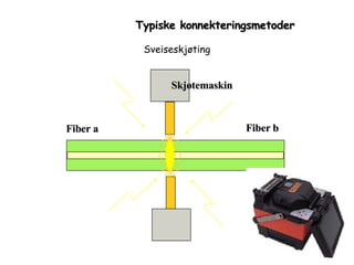Fiberteori | ODP
