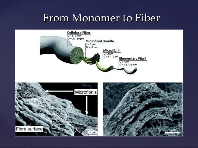 Properties of Fibers