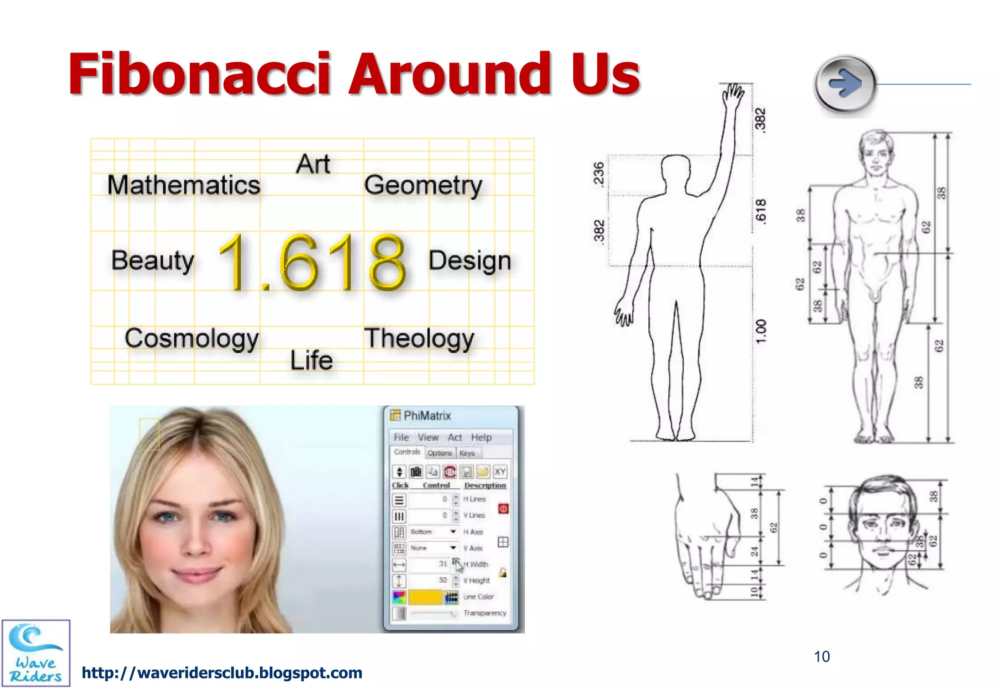 Fibonacci Trading for DW Traders | PDF