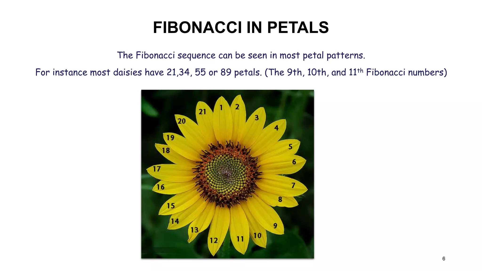 Fibonaaci sequence.pptx | Chemistry | Science