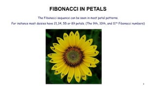 Fibonaaci sequence.pptx | Chemistry | Science