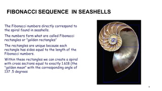 Fibonaaci sequence.pptx | Chemistry | Science