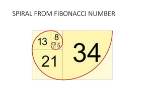 FIBONACC1 N DIVISIBILITY. The explanation of Fibonacci sequence and the diagram of Fibonacci ...