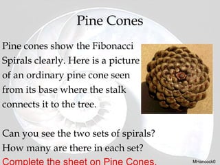 Fibonacci | PPT