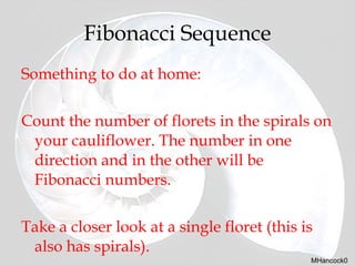 Fibonacci | PPT
