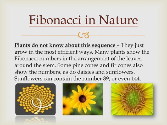 Fibonacci | PPTX