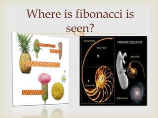 Fibonacci | PPTX
