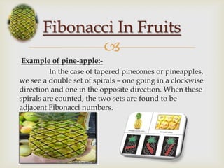 Fibonacci | PPTX