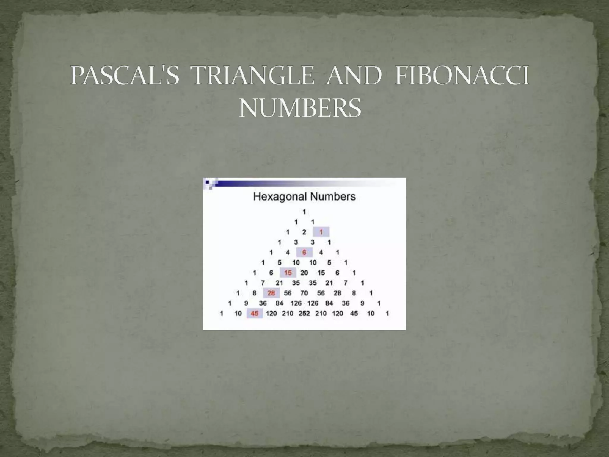 Fibonacci | PPTX | Gardening | Home & Garden