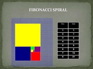 Fibonacci | PPTX | Gardening | Home & Garden