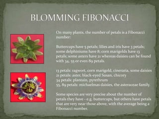 Fibonacci | PPTX | Gardening | Home & Garden