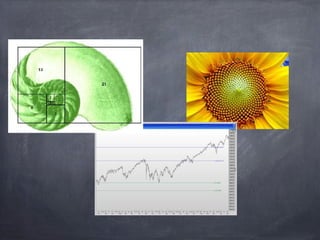 Fibonacci | PPT | Games and Puzzles | Hobbies & Interests