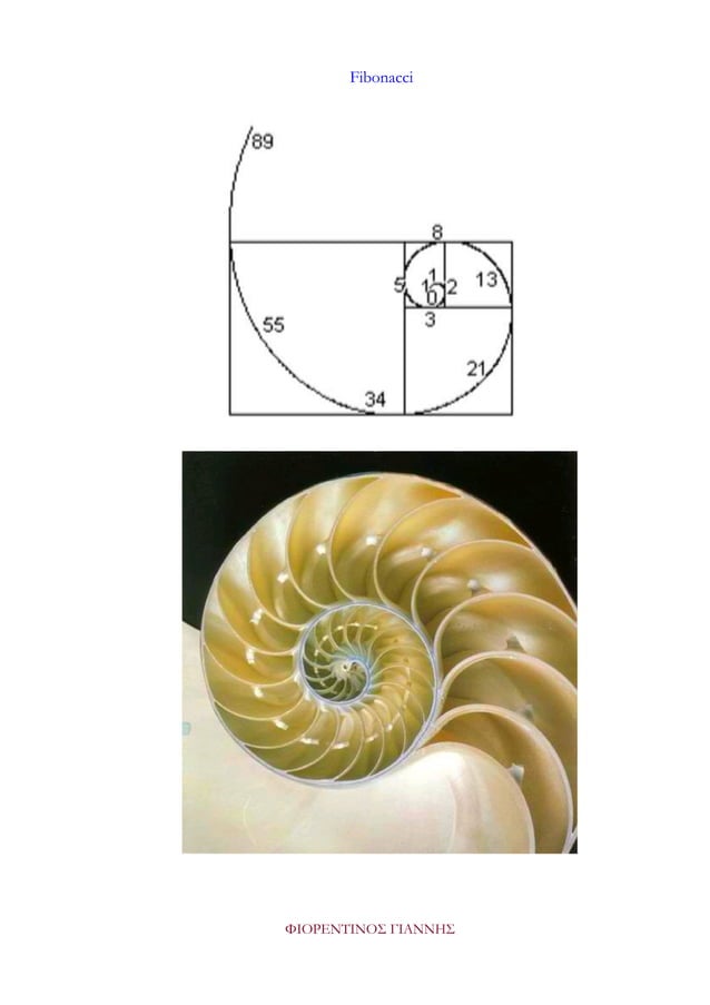 Fibonacci | PDF