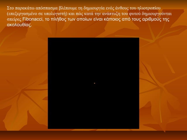 Fibonacci Sequence And Phi Ф Ppt