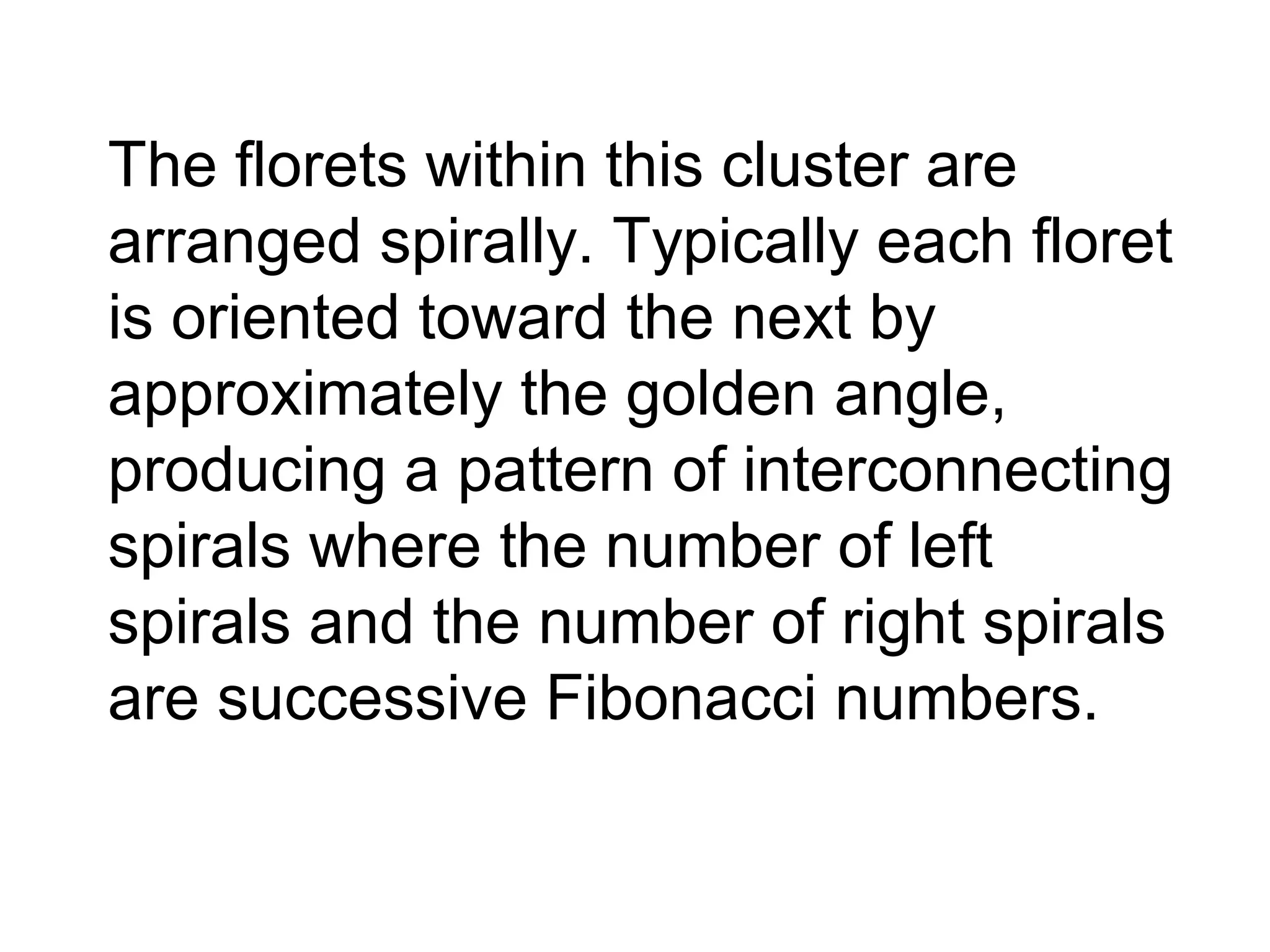 Fibonacci Sequence | PPT