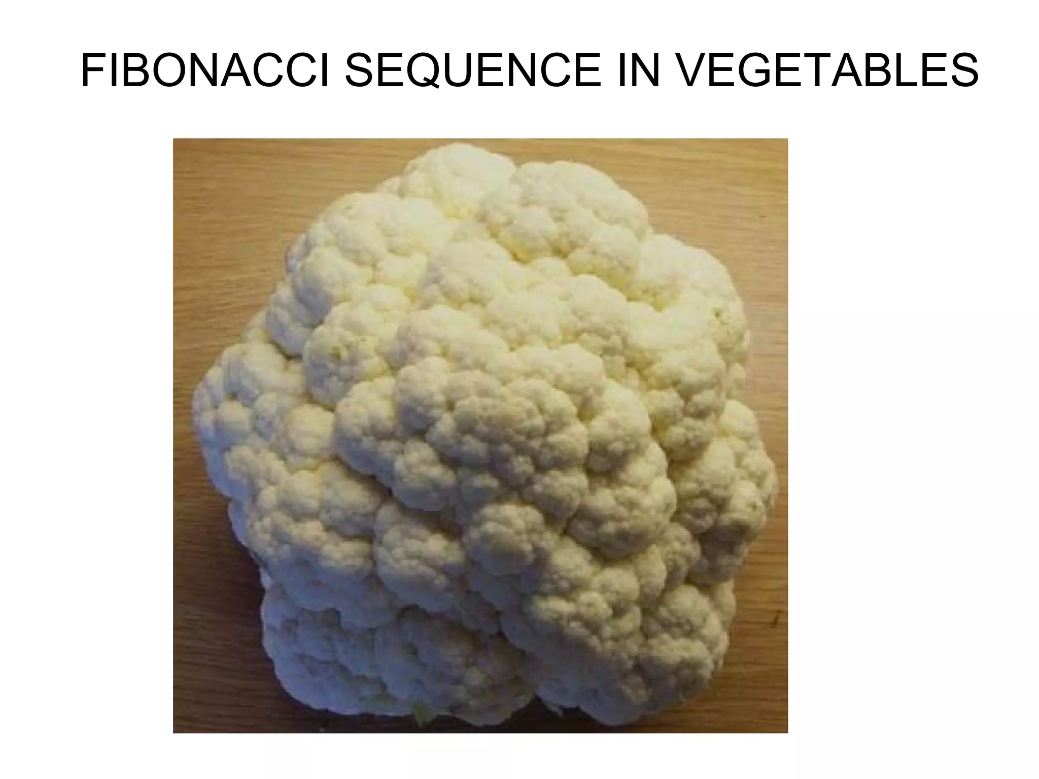 Fibonacci Sequence | PPT