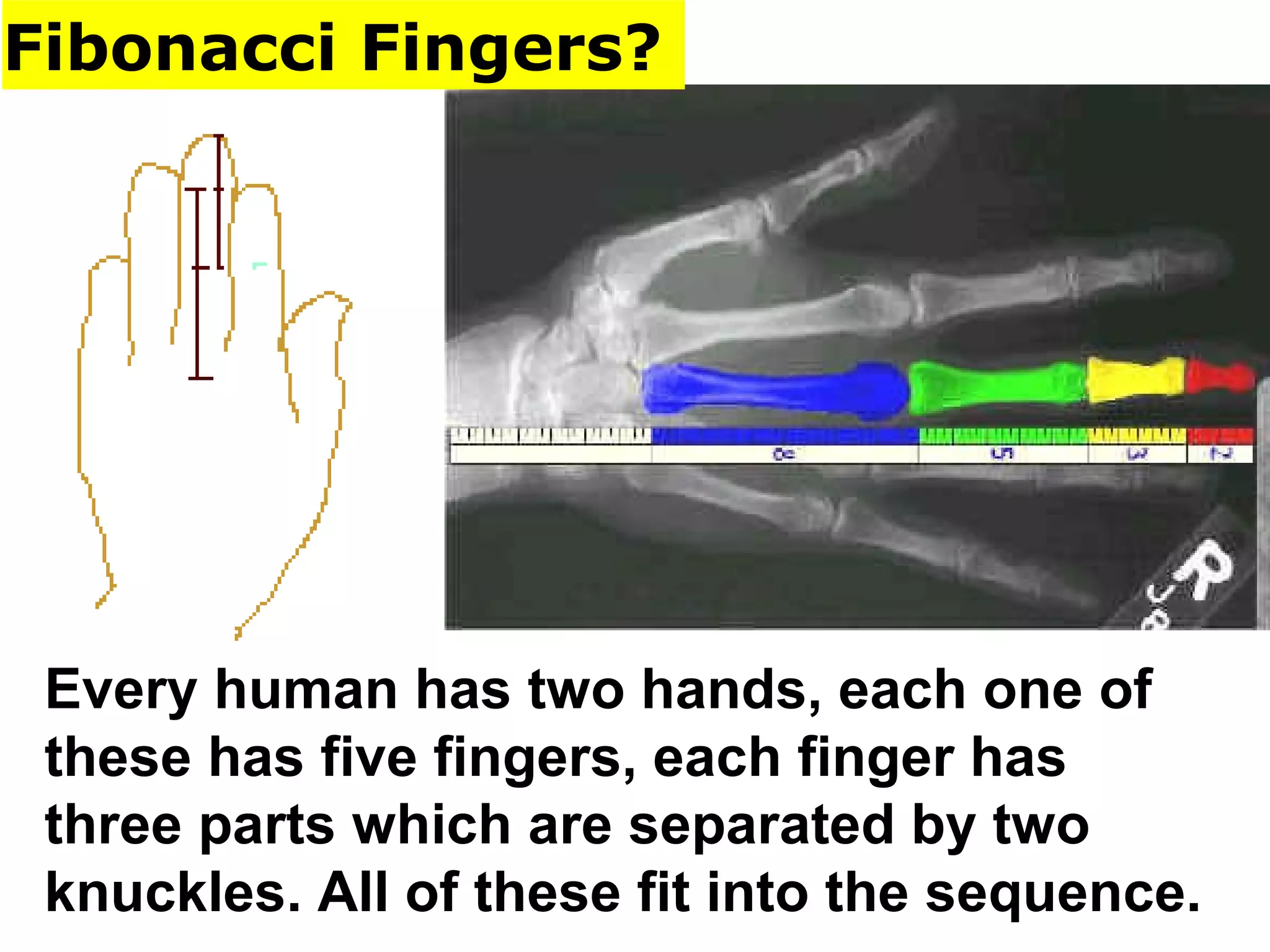 Fibonacci Sequence | PPT