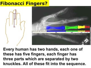 Fibonacci Sequence | PPT