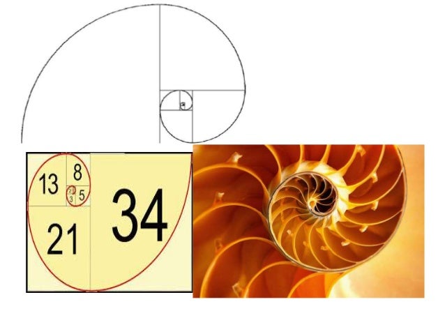 Fibonacci