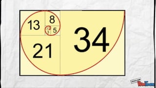 Fibonacci numbers-math project | PPT