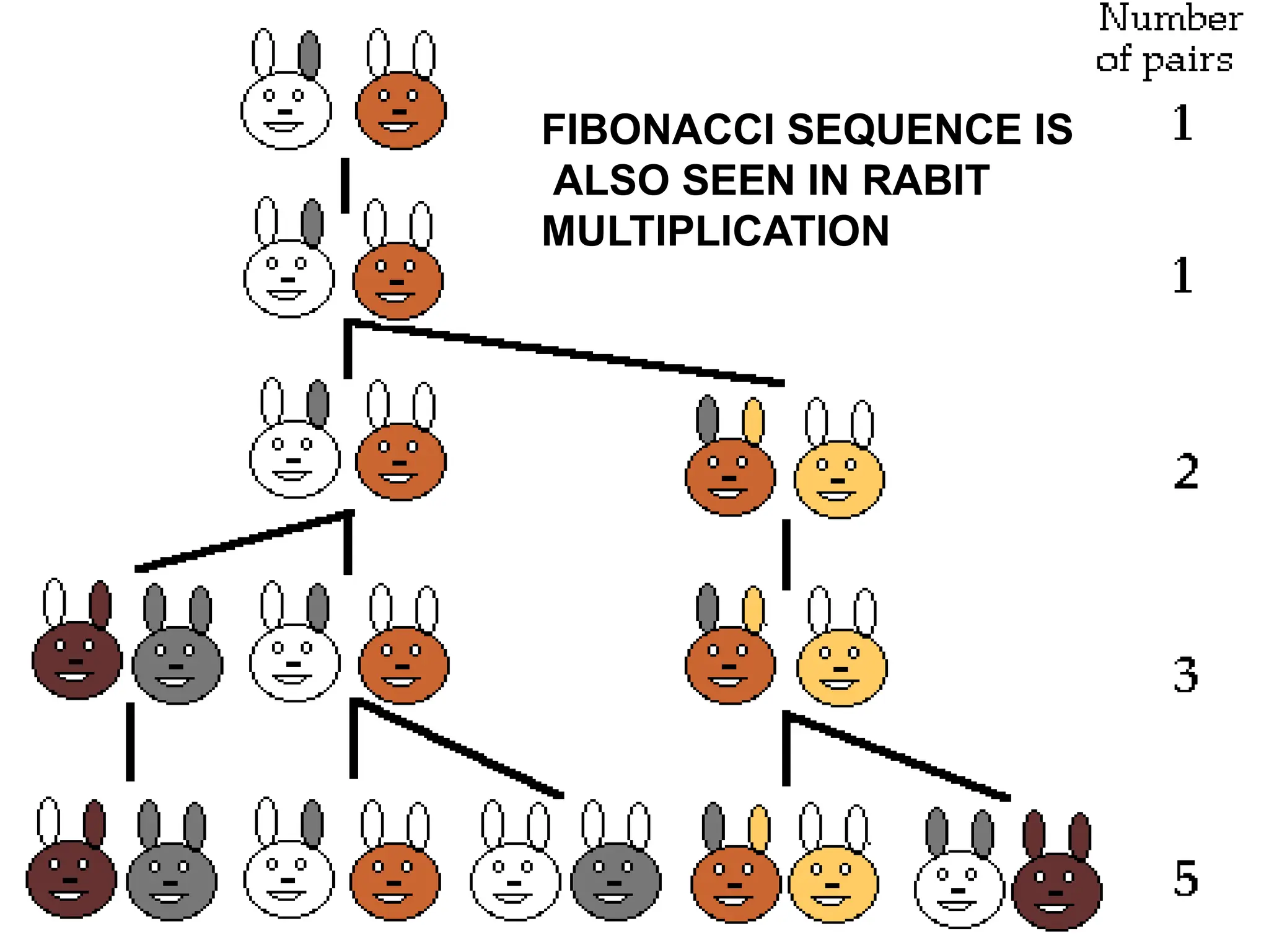 Fibonacci Sequence and its examples and application to real life | PPTX