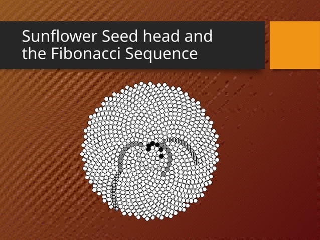 FIBONACCI-MATMOD_Week 1- Lesson 1 Numbers and Patterns | PPT