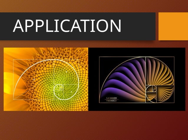 Lesson Plan: Fibonacci [S Extraordinary Numbers. – XJXG