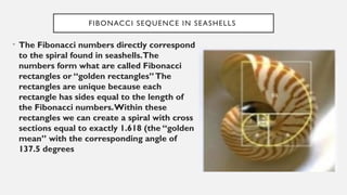 FIBONACCI-SEQUENCE-DELEONNAIJDHUJNEUpptx | PPT