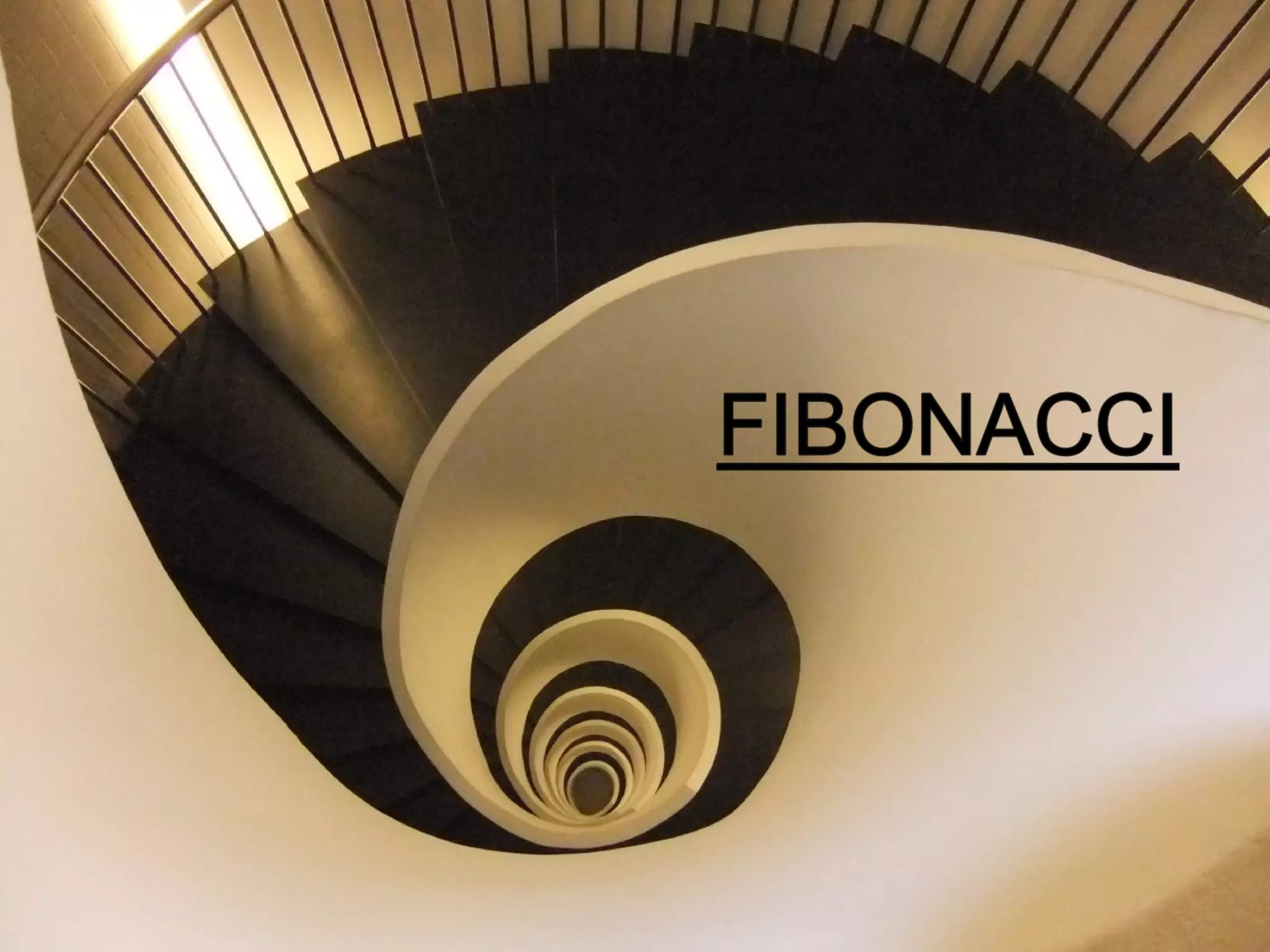 Fibonacci | PPT