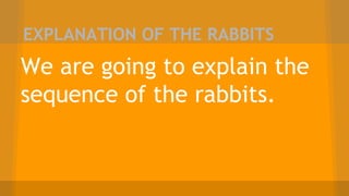 Fibonacci Sequence 1 | PPT