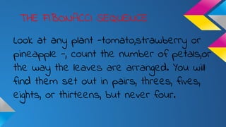 Fibonacci Sequence 2 | PPT