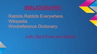 Fibonacci Sequence 2 | PPT