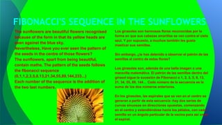 Fibonacci Sequence 3 | PDF