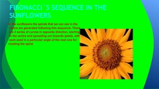 Fibonacci Sequence 3 | PDF | Science
