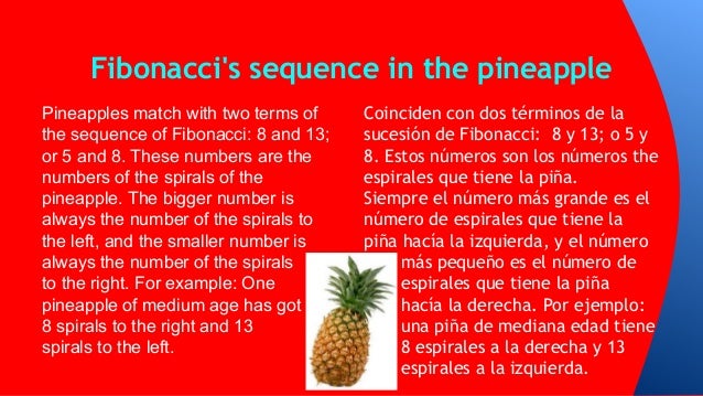 Fibonacci Sequence 3