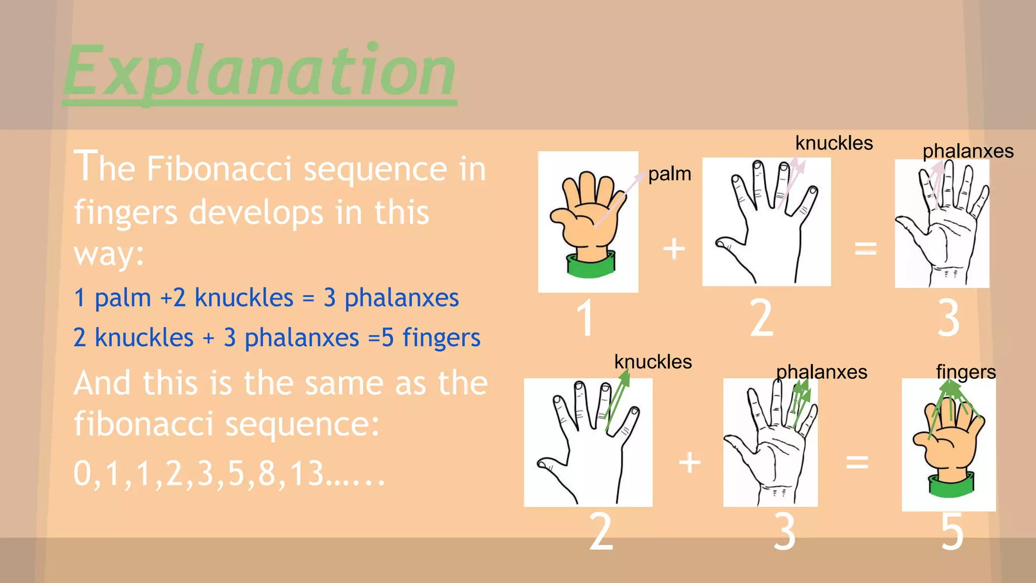 Fibonacci Sequence 4 | PDF