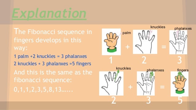 Fibonacci Sequence 4