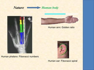 Fibonacci gold number | PPT | Games and Puzzles | Hobbies & Interests