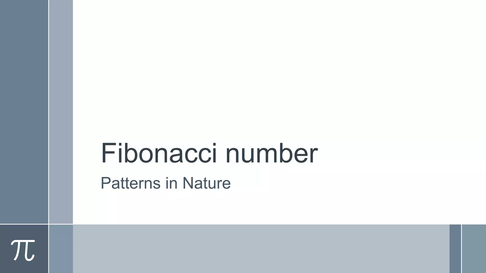 Fibonacci numbers.pptx