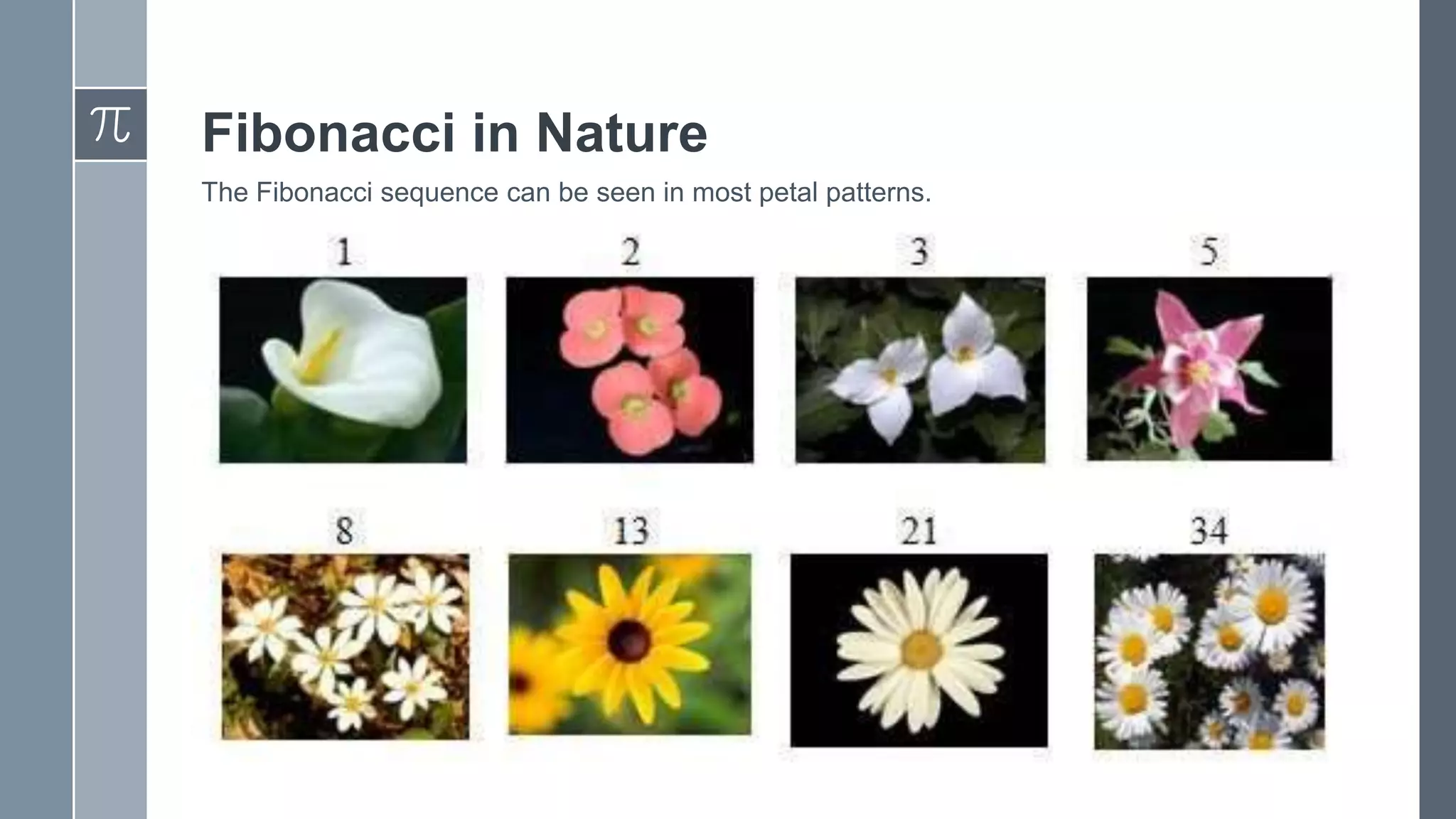 Fibonacci numbers.pptx